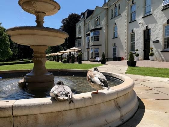 Winford Manor | Hotel at Bristol Airport